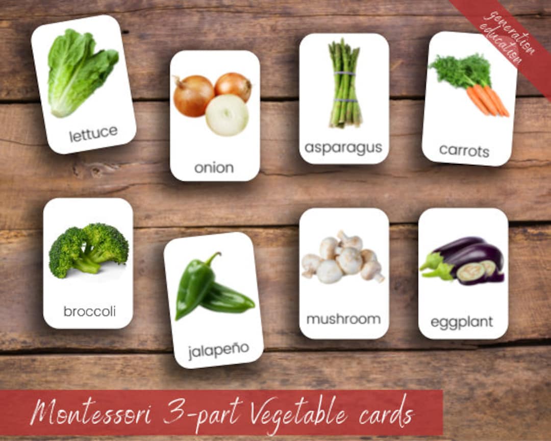 Vegetable Montessori 3-part Flash Cards PDF Download - Etsy