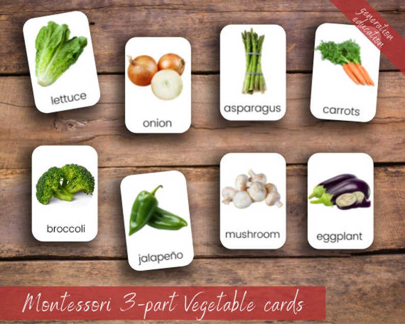 Vegetable Montessori 3-part Flash Cards PDF Download - Etsy