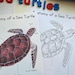 Sea Turtles Mini Science Unit, Sea Turtles Unit, Sea Turtles - Etsy