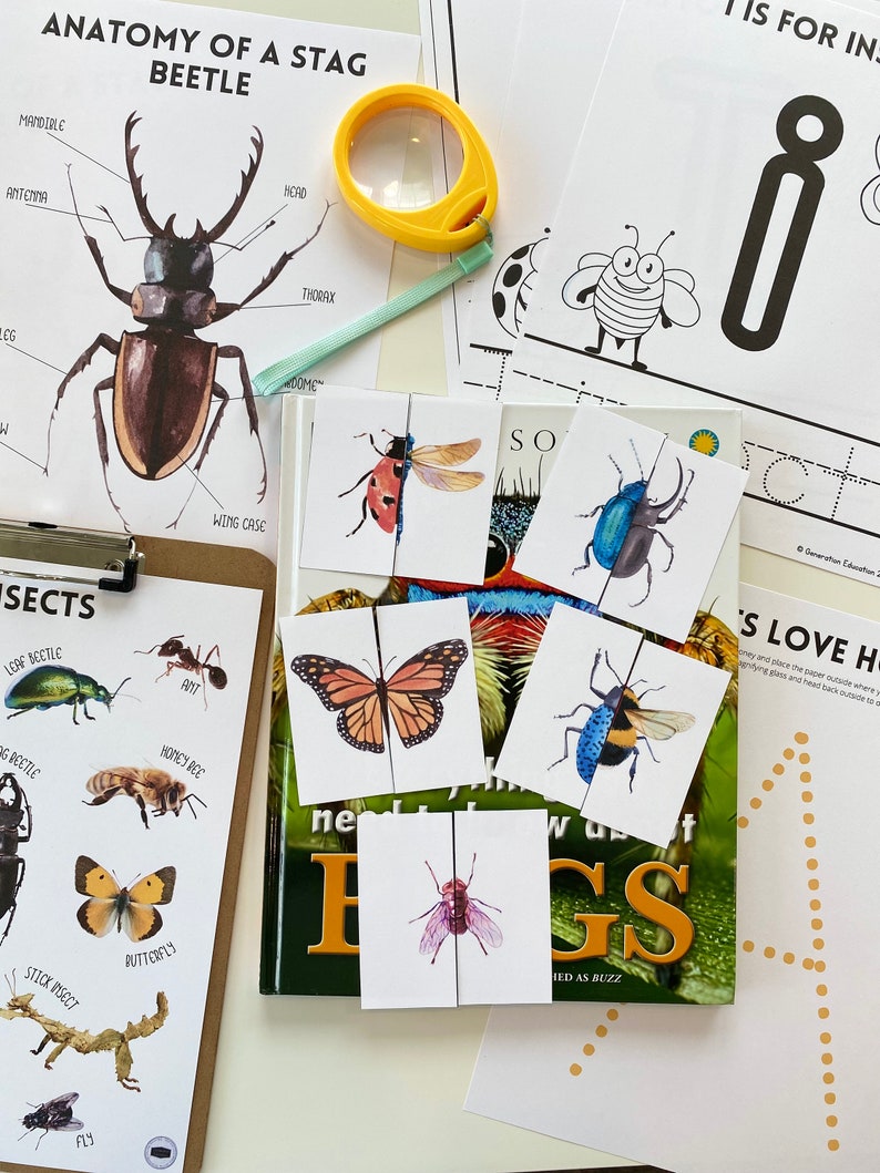 Insects Mini Science Unit - Etsy
