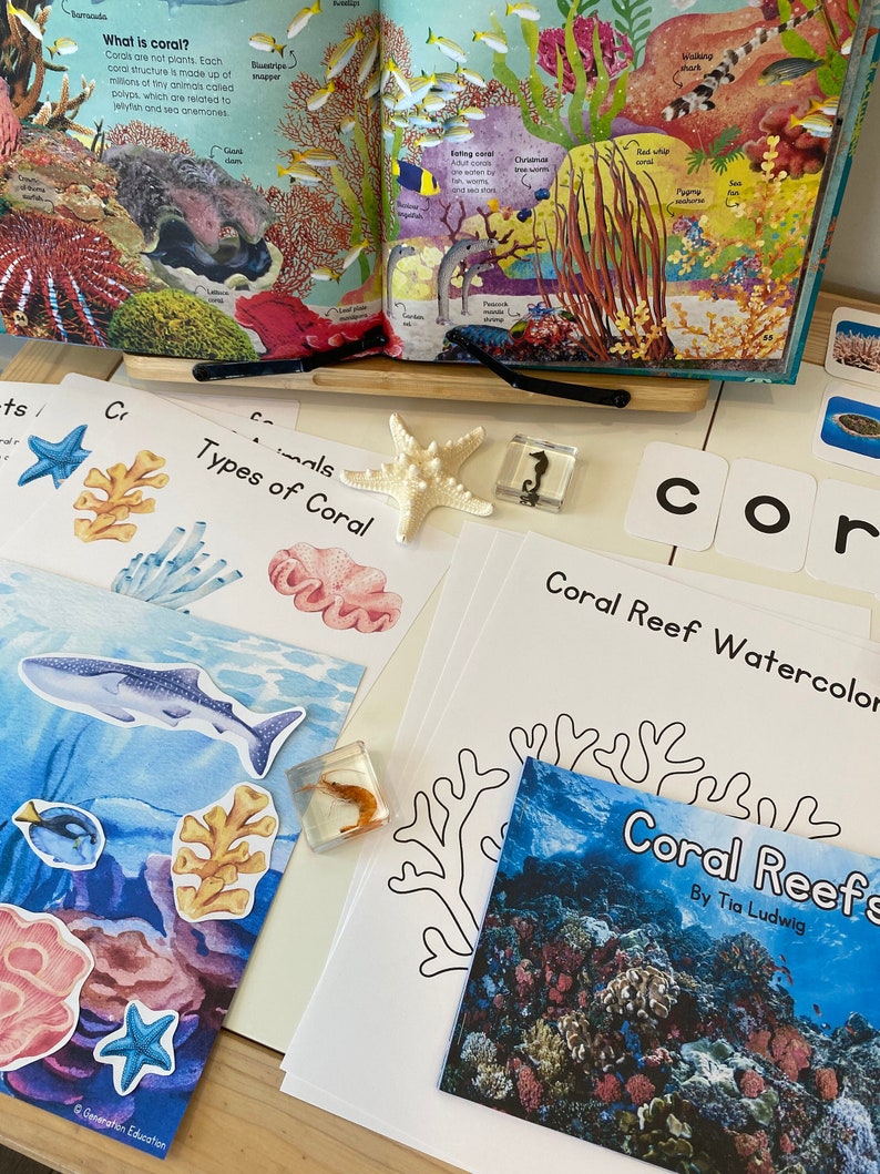 Coral Reefs Mini Science Unit, Coral Reef Unit - Etsy