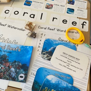 Coral Reefs Mini Science Unit, Coral Reef Unit - Etsy