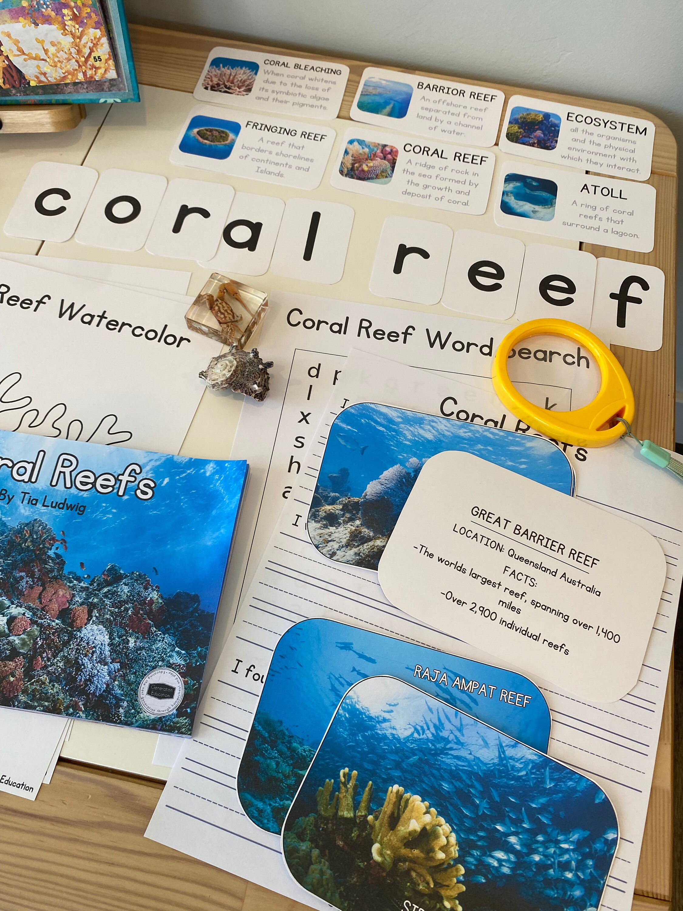 Coral Reefs Mini Science Unit, Coral Reef Unit - Etsy