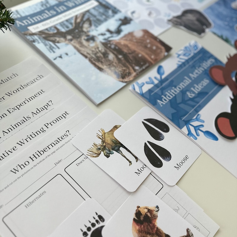 Animals in Winter Unit - Etsy