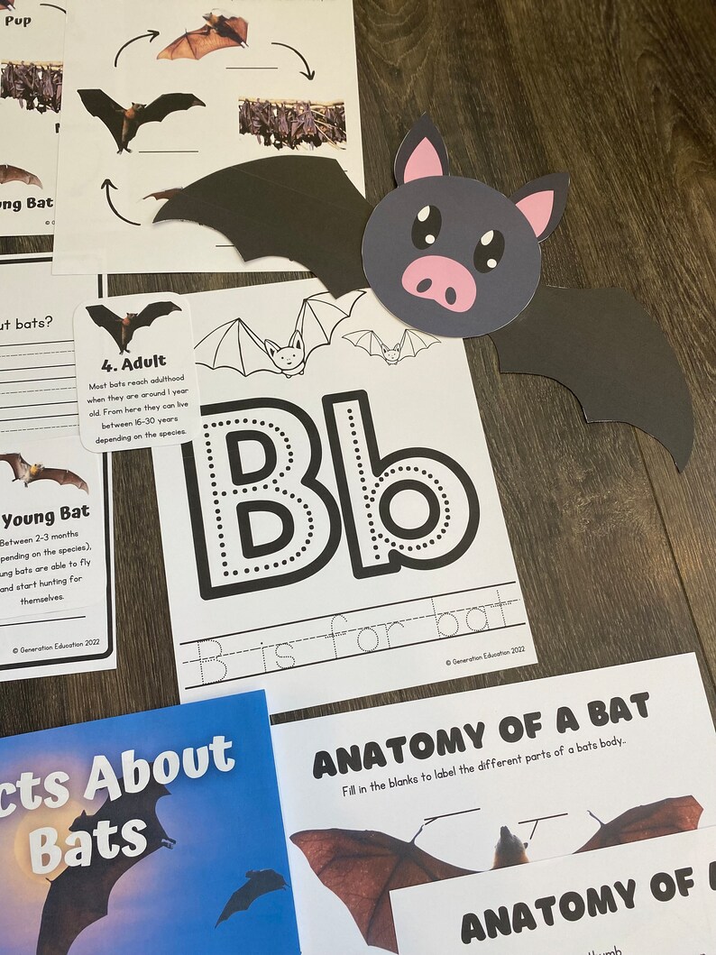 Bats Mini Science Unit - Etsy