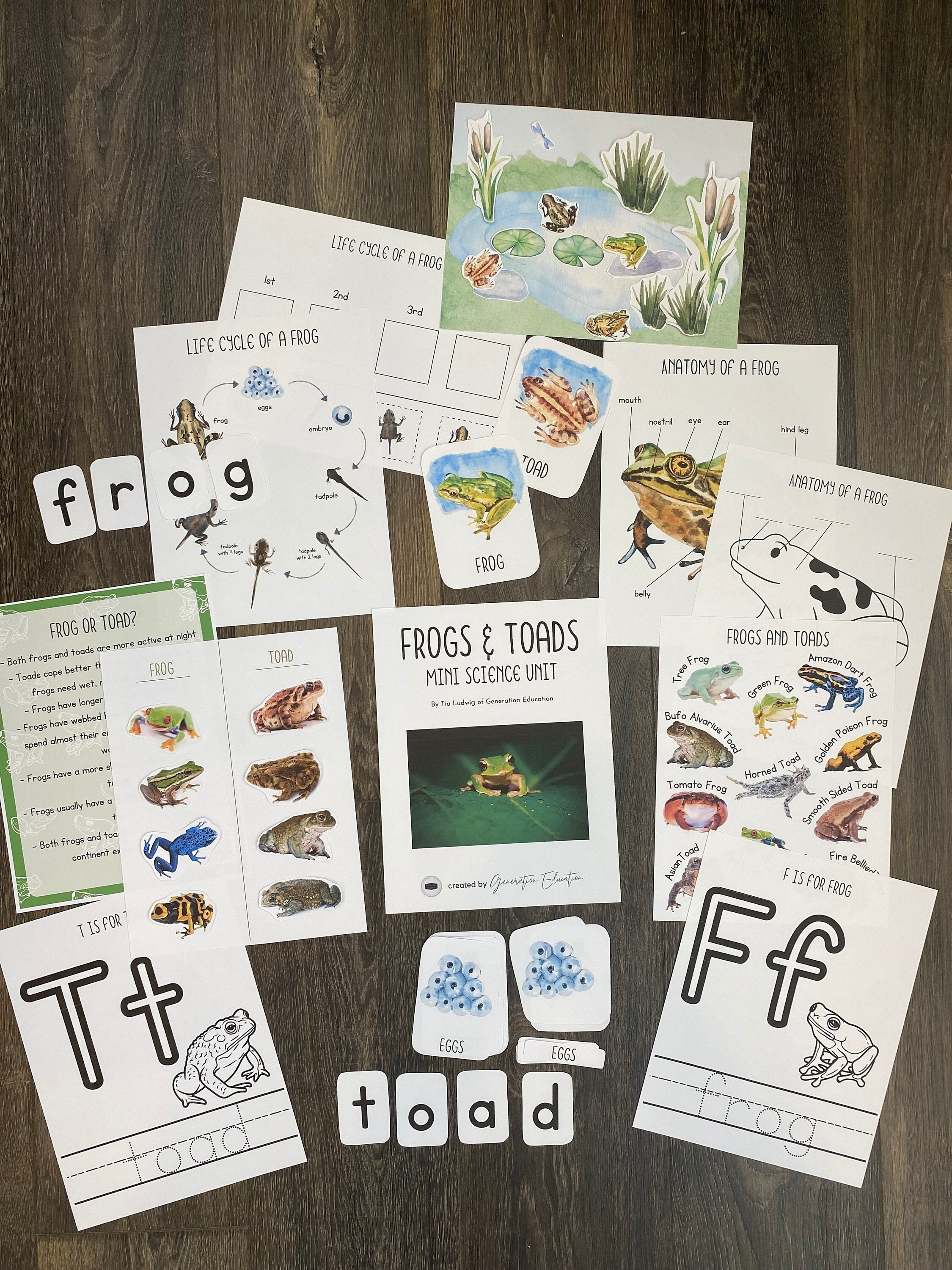 Frogs & Toads Mini Unit - Etsy