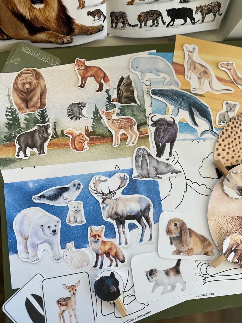Mammal Activity Pack, Mammal Printables, Mammals Activities - Etsy