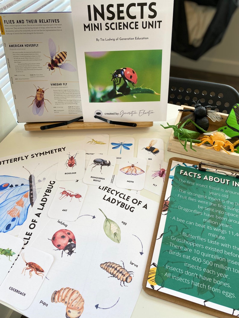 Insects Mini Science Unit - Etsy
