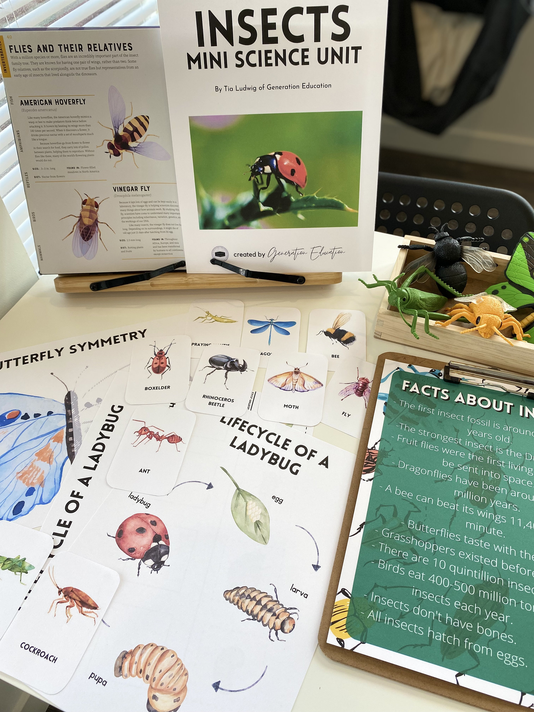 Insects Mini Science Unit - Etsy