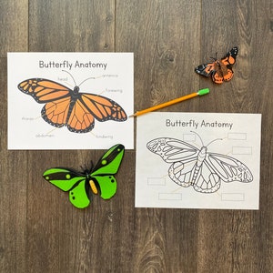 Butterfly Unit - Etsy