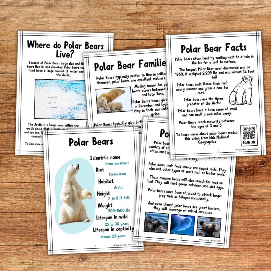 Mini Polar Bear Unit - Etsy