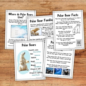 Mini Polar Bear Unit - Etsy