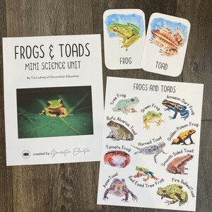 Frogs & Toads Mini Unit - Etsy