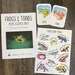Frogs & Toads Mini Unit - Etsy