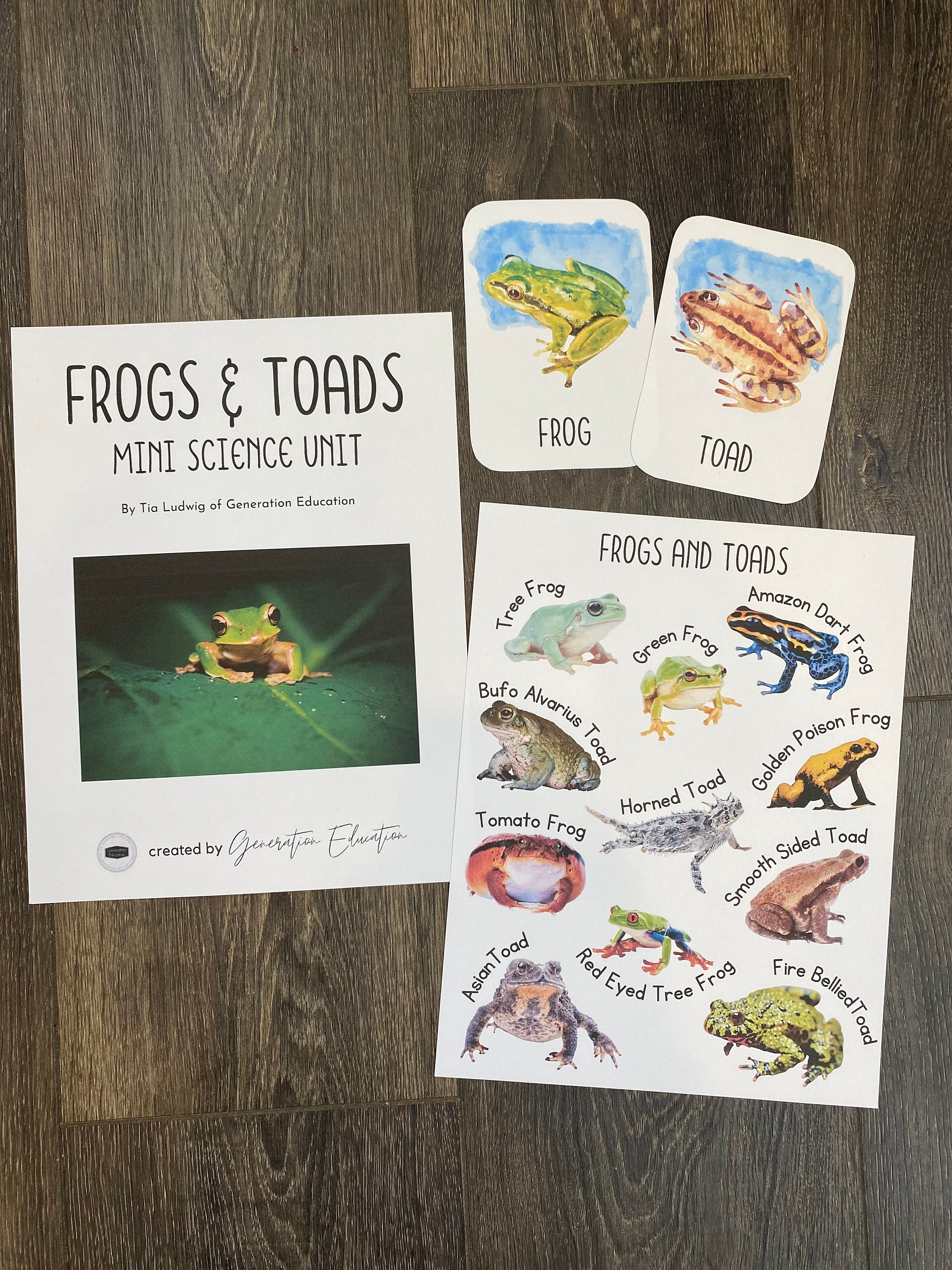 Frogs & Toads Mini Unit - Etsy
