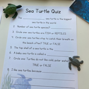 Sea Turtles Mini Science Unit, Sea Turtles Unit, Sea Turtles - Etsy