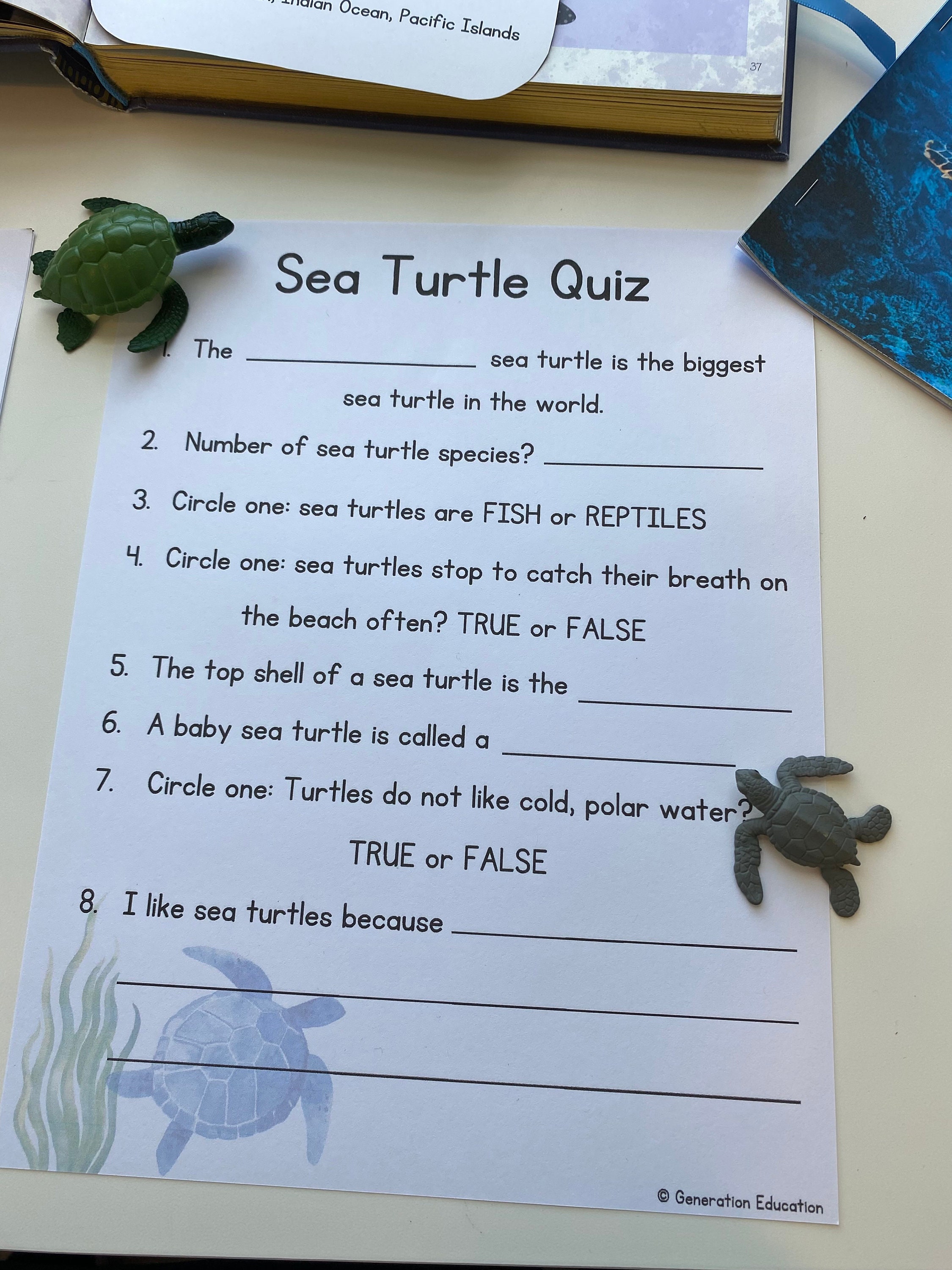 Sea Turtles Mini Science Unit Sea Turtles Unit Sea Turtles - Etsy