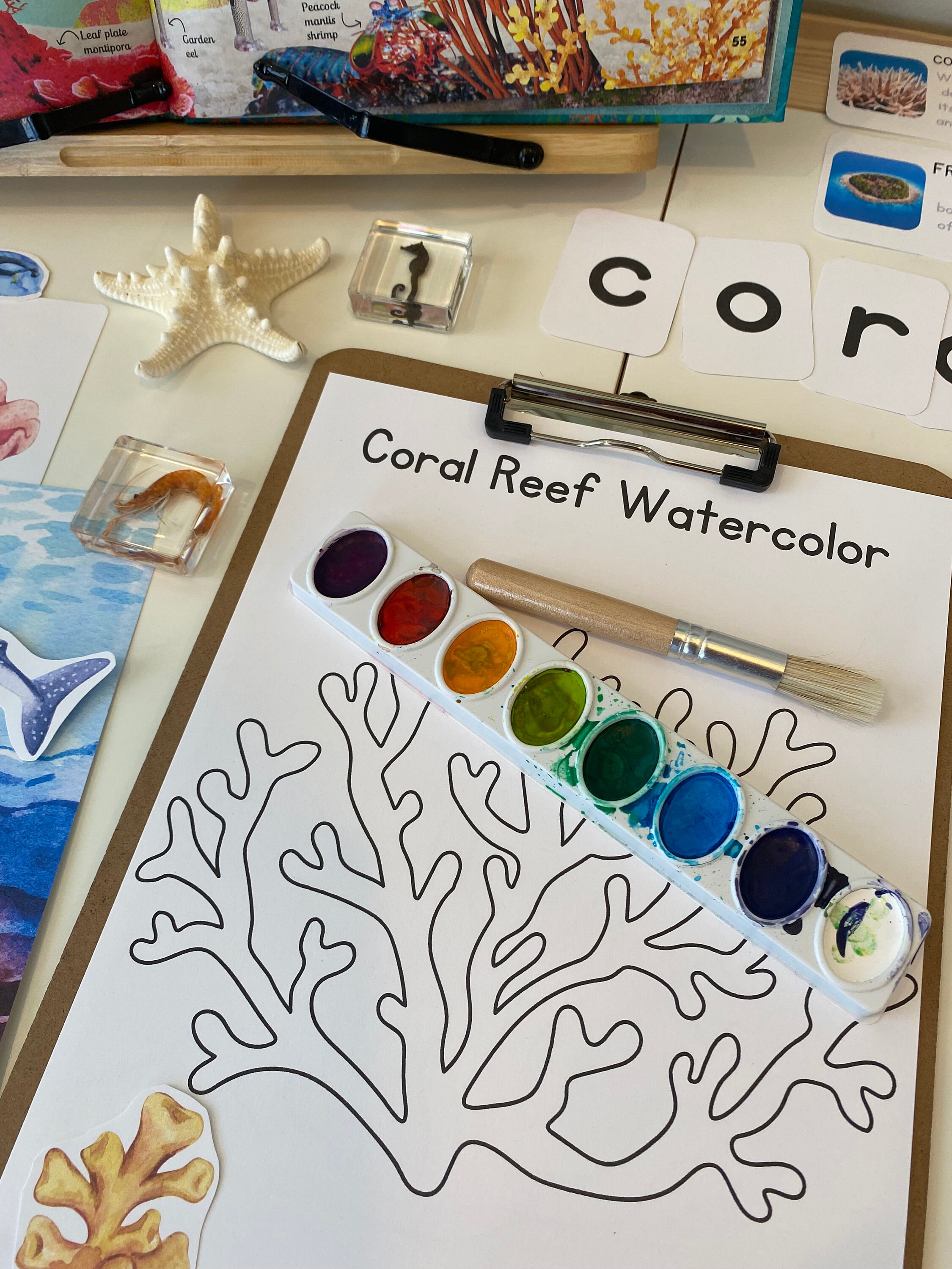 Coral Reefs Mini Science Unit, Coral Reef Unit - Etsy