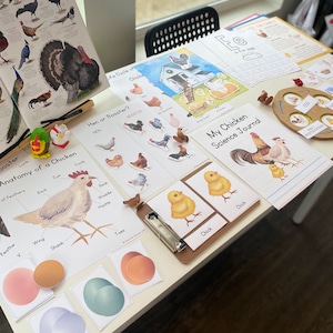 Chicken Mini Unit - Etsy