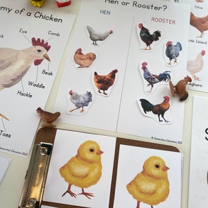 Chicken Mini Unit - Etsy