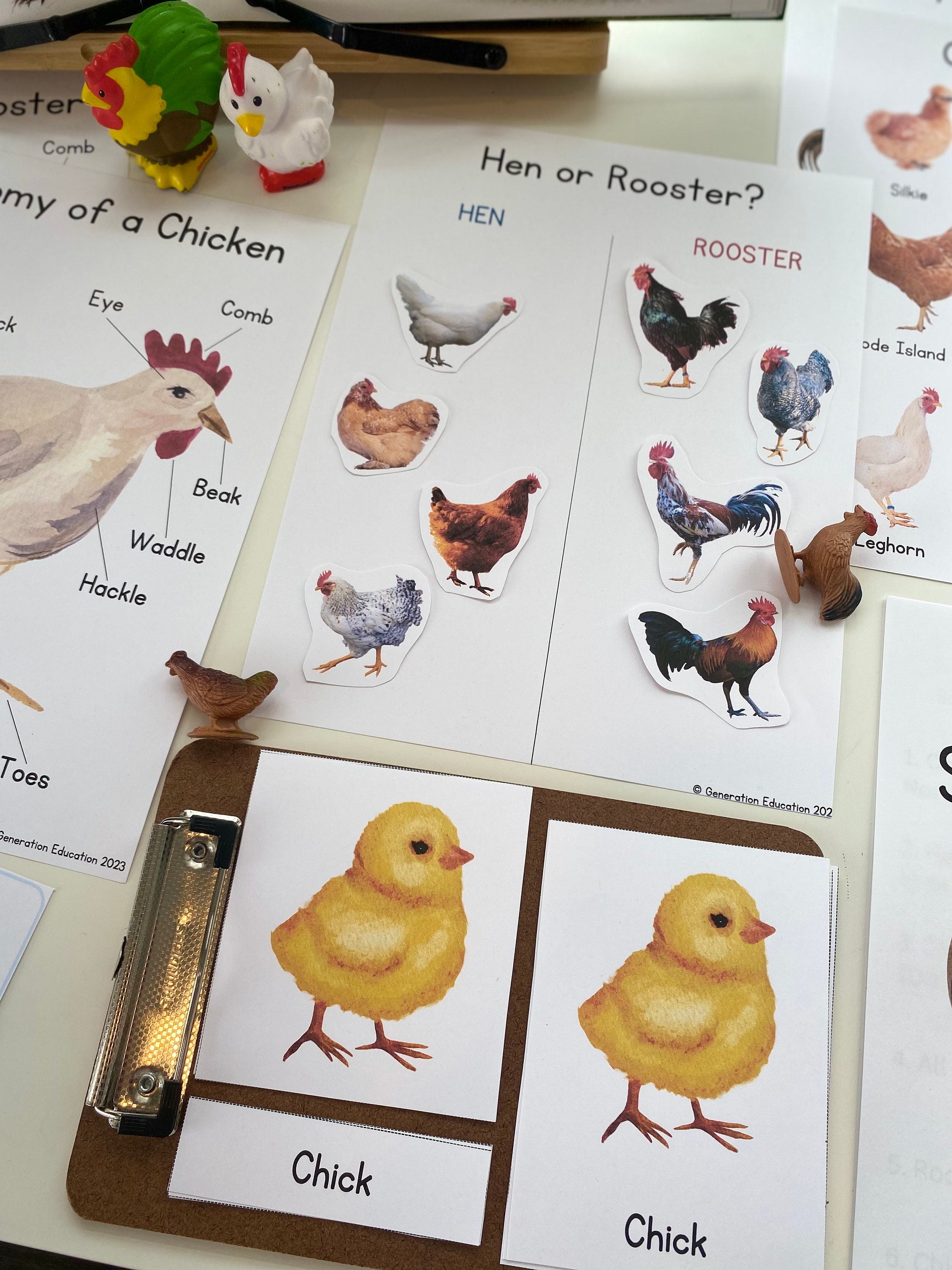 Chicken Mini Unit - Etsy