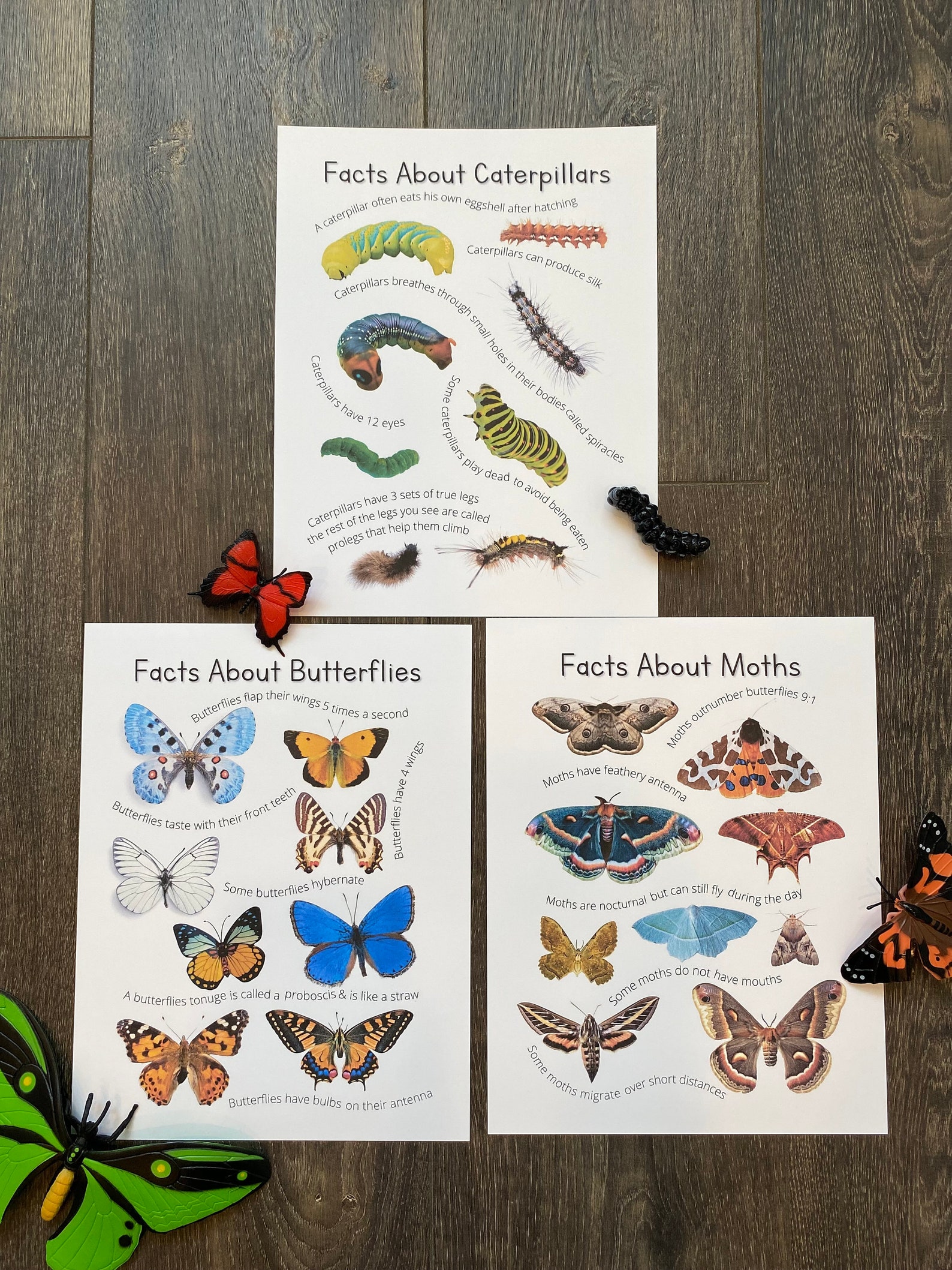 Butterfly Unit - Etsy