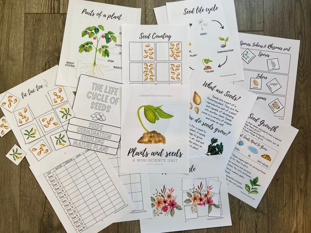 Plants and Seeds Unit - Etsy