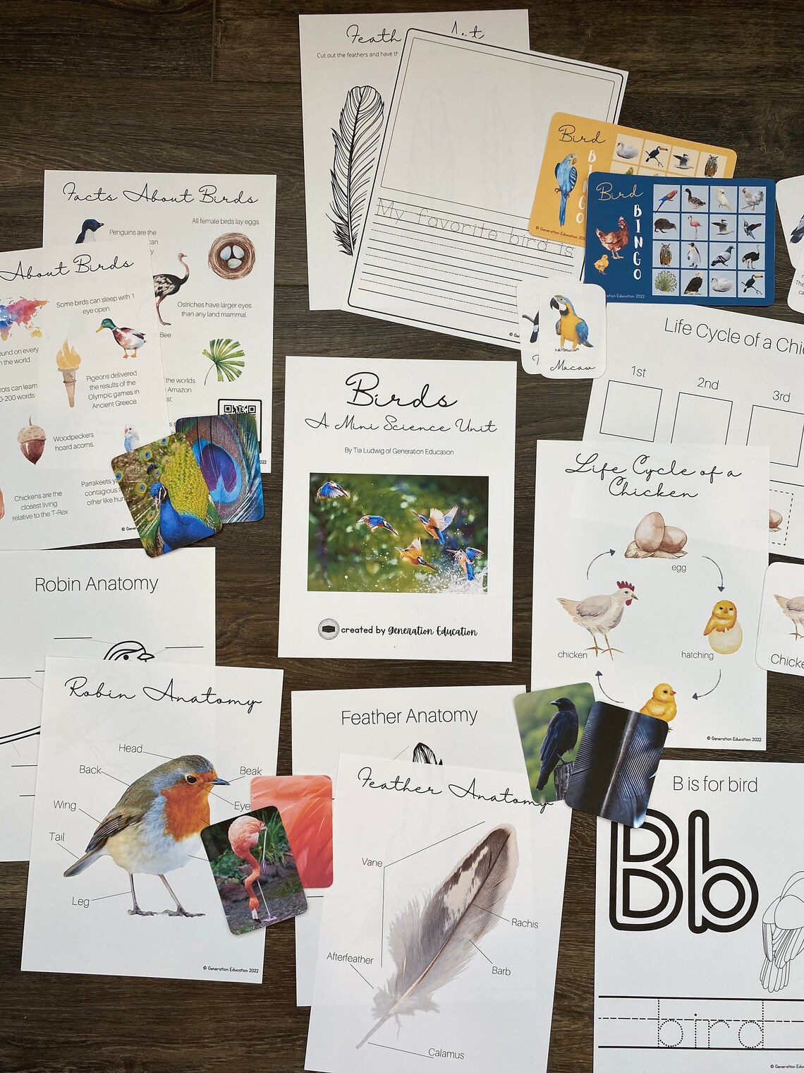 Birds Mini Science Unit - Etsy