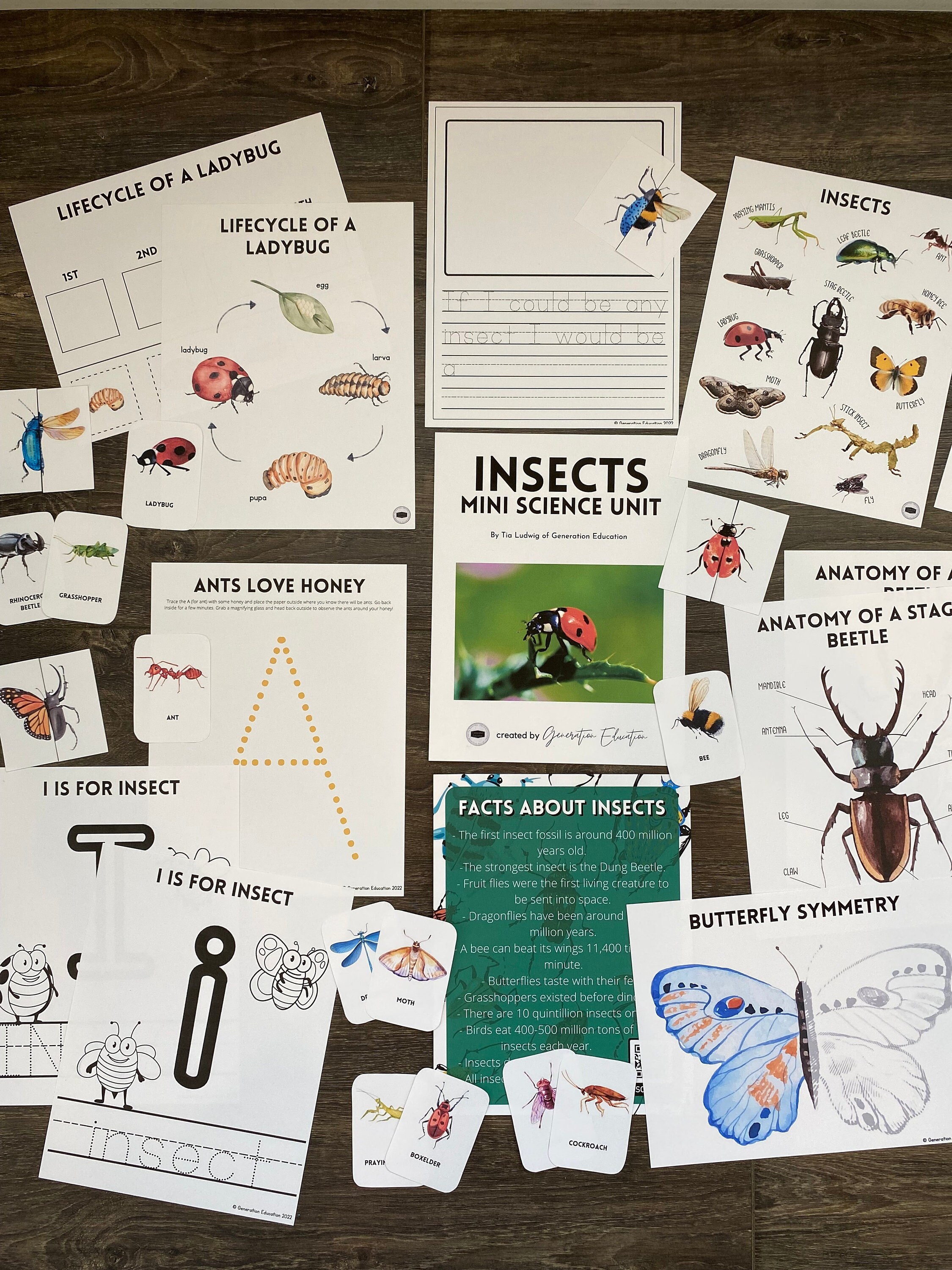 Insects Mini Science Unit - Etsy
