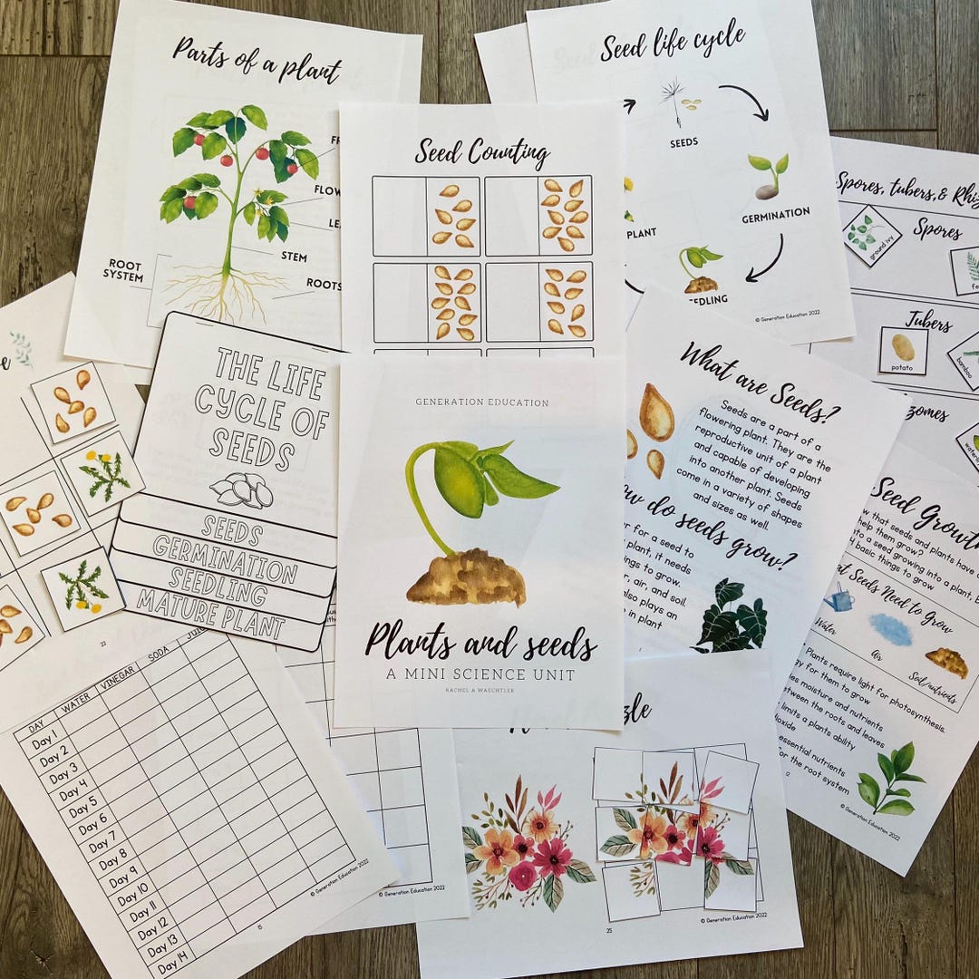 Plants and Seeds Unit - Etsy