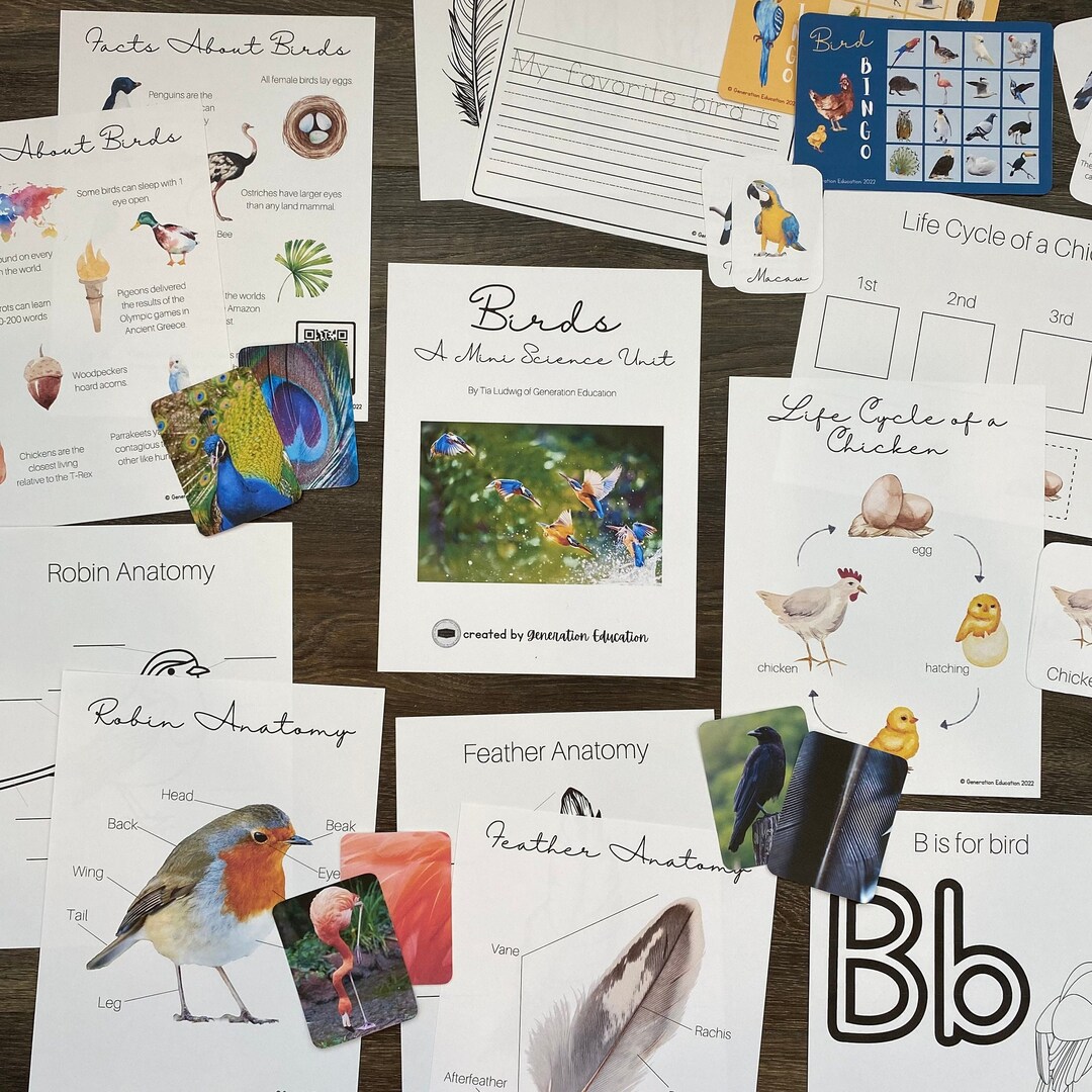 Birds Mini Science Unit - Etsy