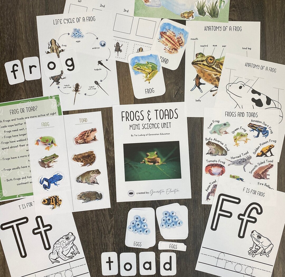 Frogs & Toads Mini Unit - Etsy