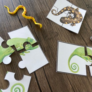 Reptiles Mini Unit - Etsy