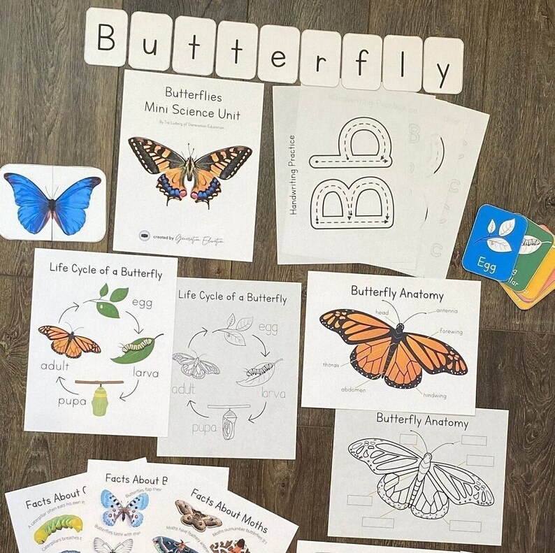 Butterfly Unit - Etsy