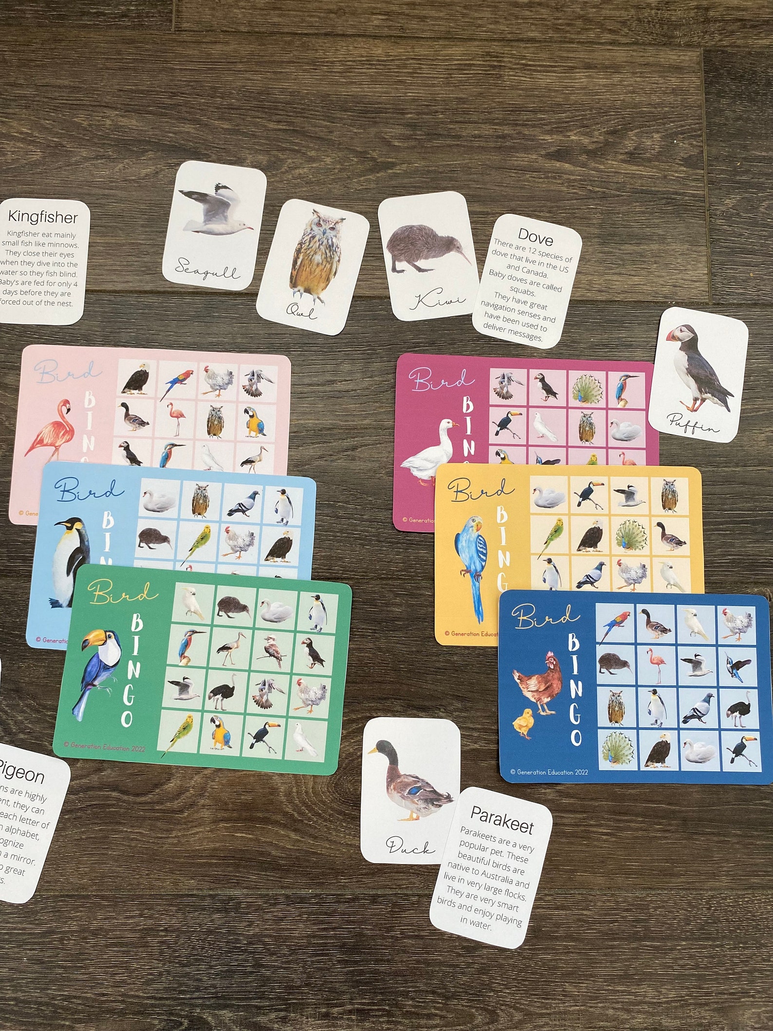 Birds Mini Science Unit - Etsy