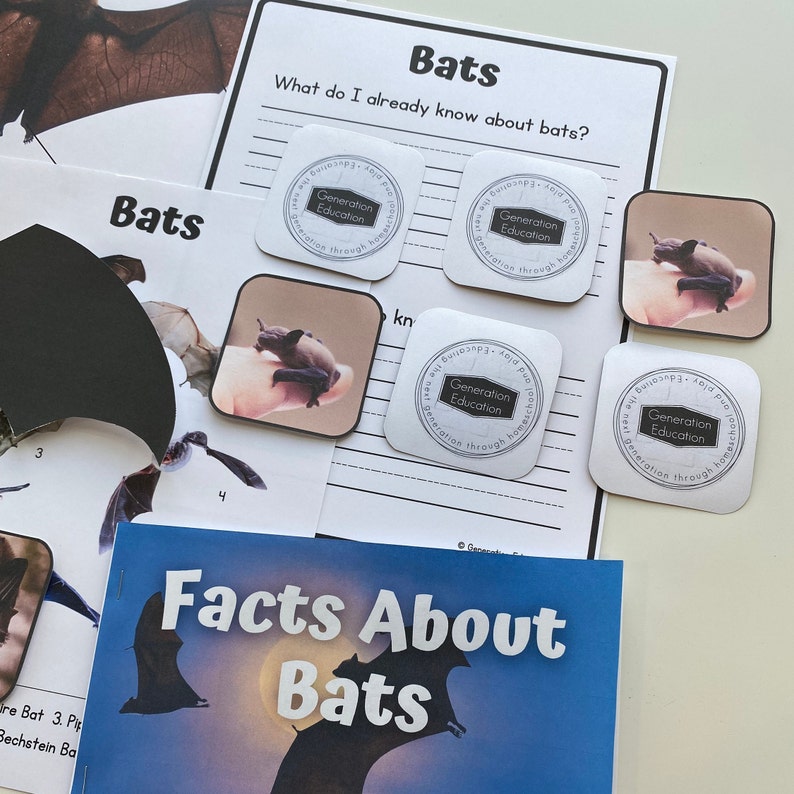 Bats Mini Science Unit - Etsy