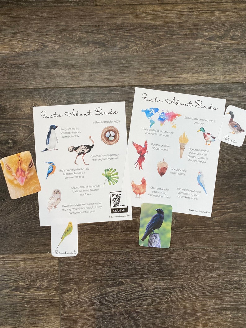 Birds Mini Science Unit - Etsy