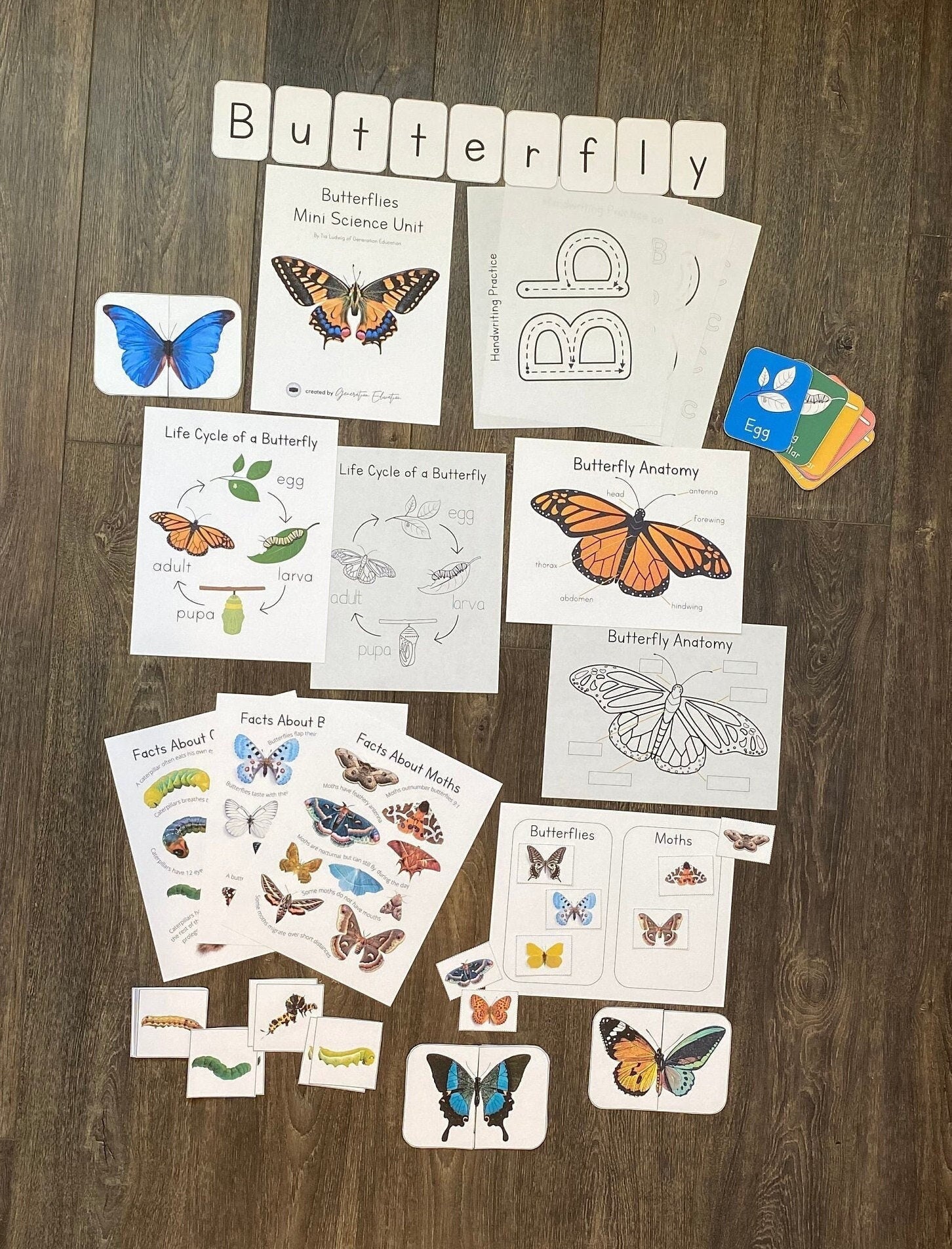 Butterfly Unit - Etsy