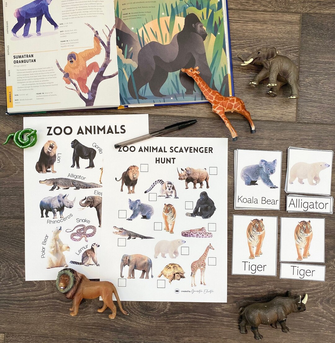 Zoo Animal Cards & Scavenger Hunt - Etsy