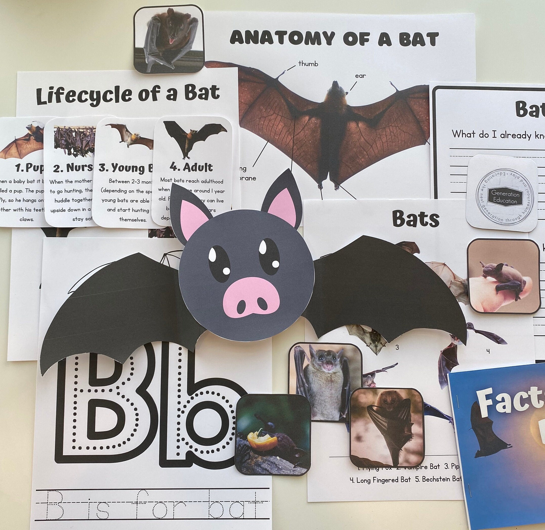 Bats Mini Science Unit - Etsy