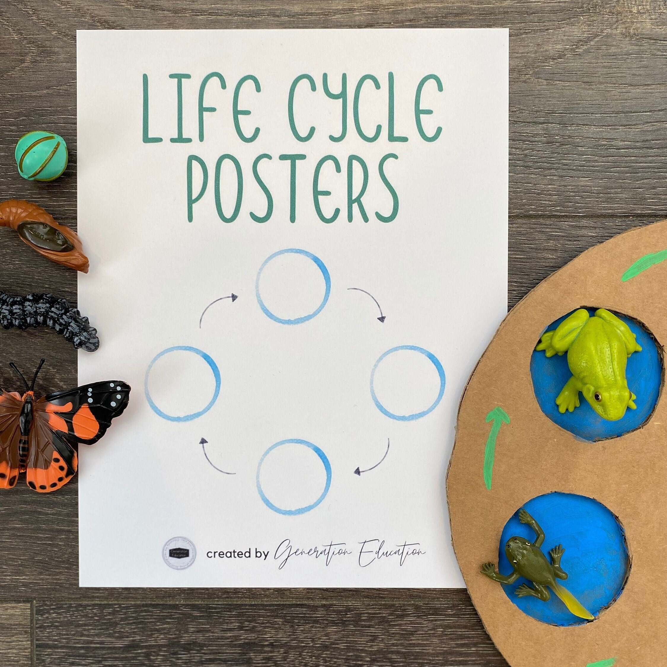 Life Cycle Posters Pack - Etsy