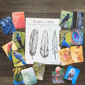 Birds Mini Science Unit - Etsy