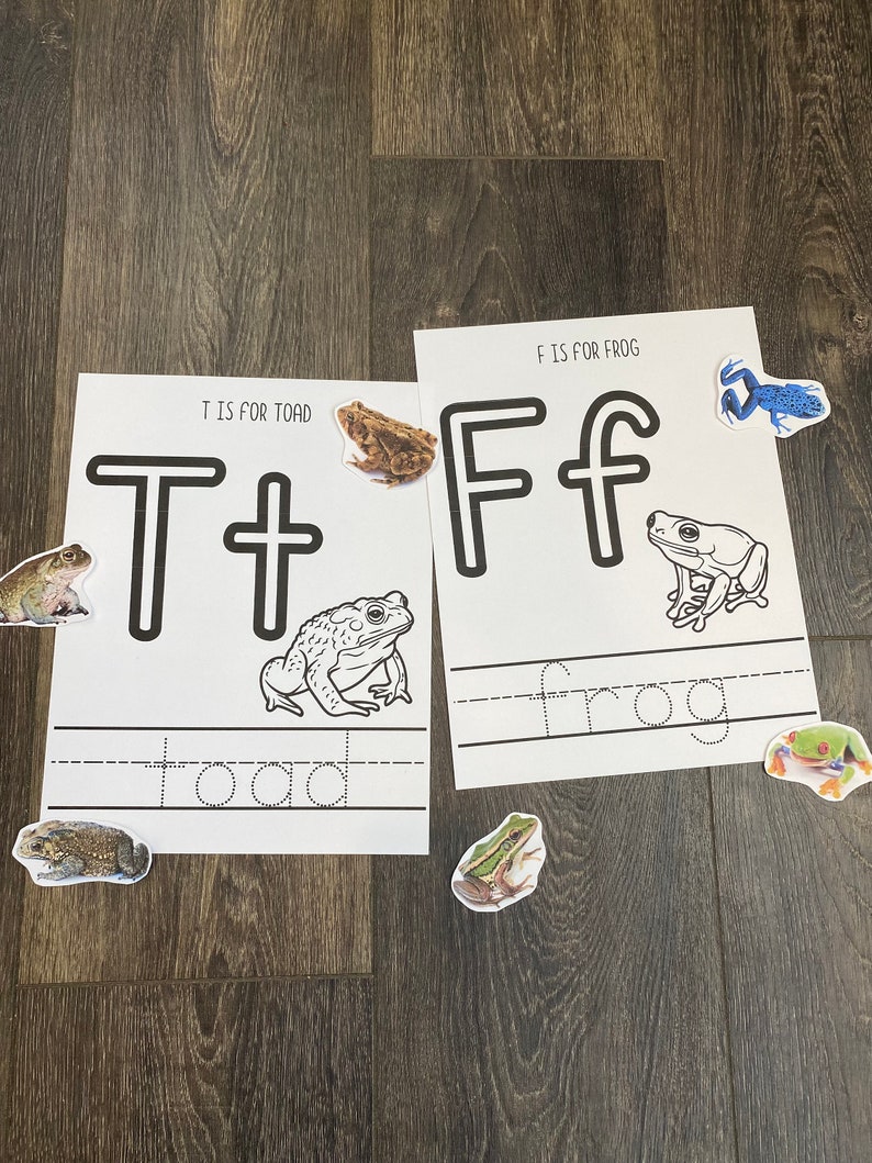 Frogs & Toads Mini Unit - Etsy