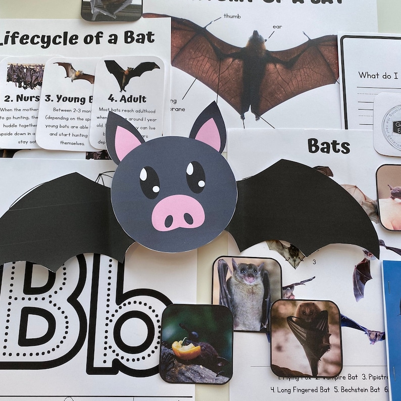 Bats Mini Science Unit - Etsy