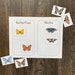 Butterfly Learning Unit: Life Cycle, Anatomy, Matching (digital ...