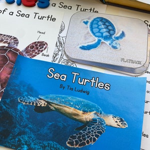 Sea Turtles Mini Science Unit, Sea Turtles Unit, Sea Turtles - Etsy