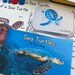 Sea Turtles Mini Science Unit, Sea Turtles Unit, Sea Turtles - Etsy