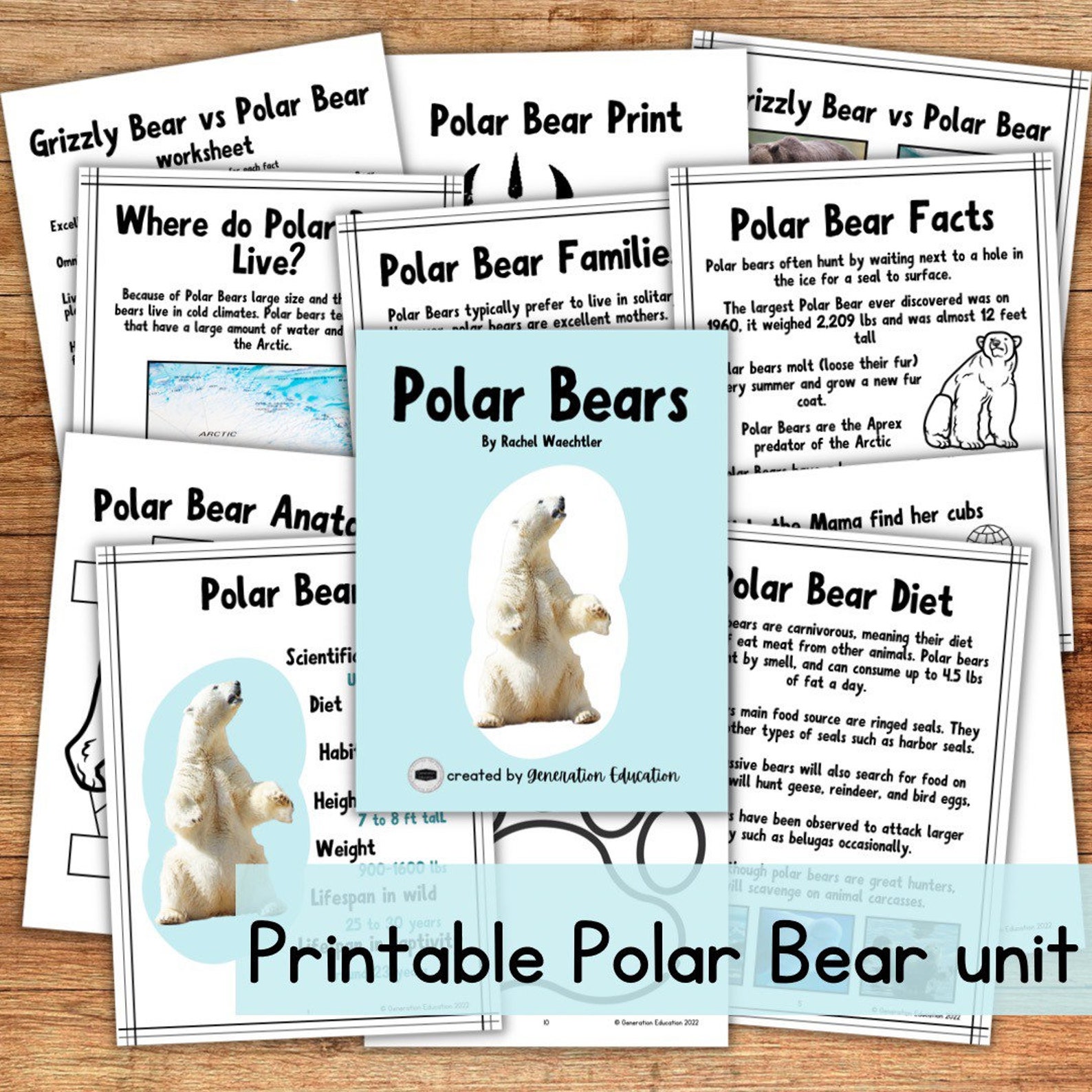 Mini Polar Bear Unit - Etsy
