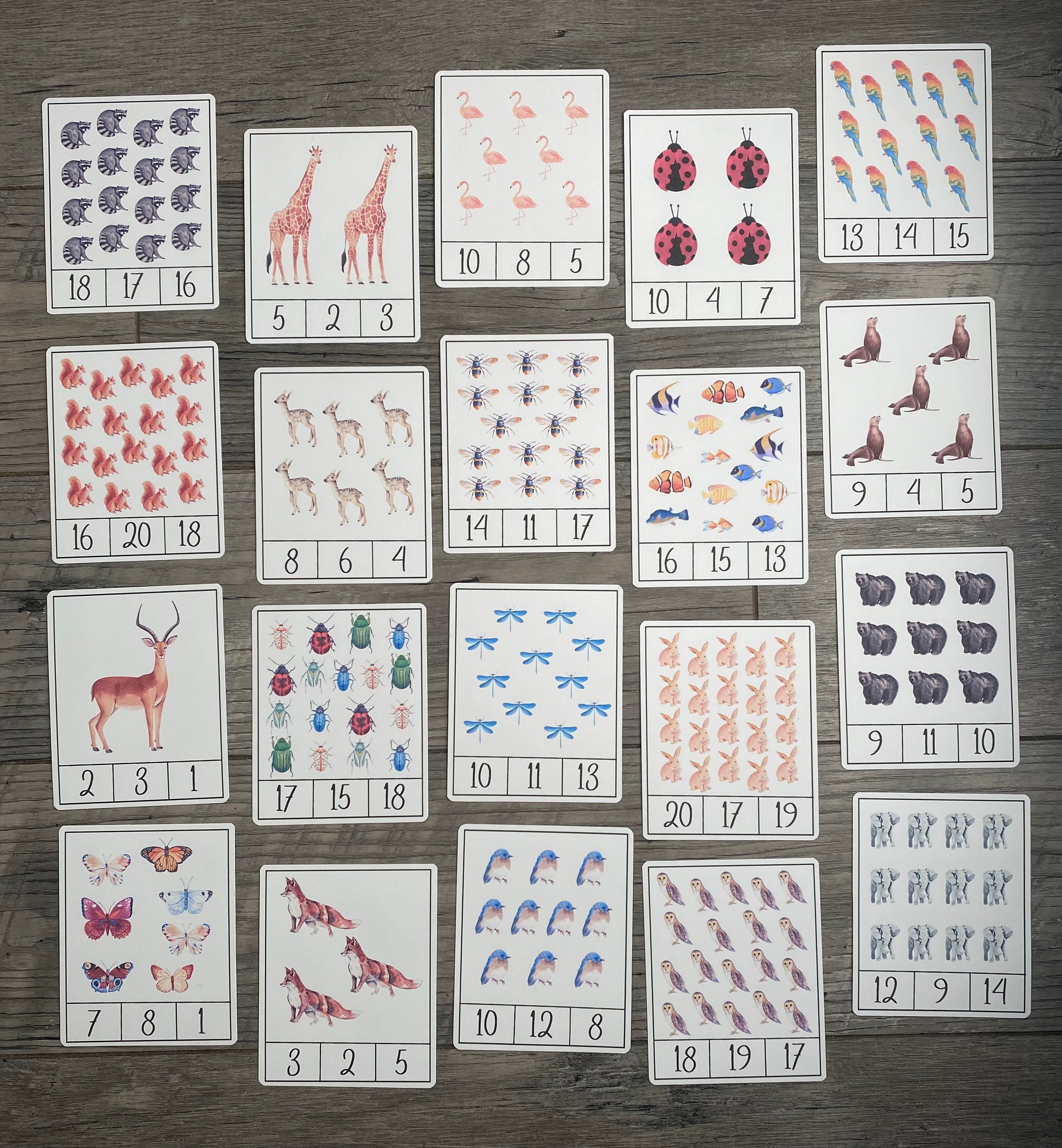 Printable Animal and Bug Count and Clip Cards - Etsy