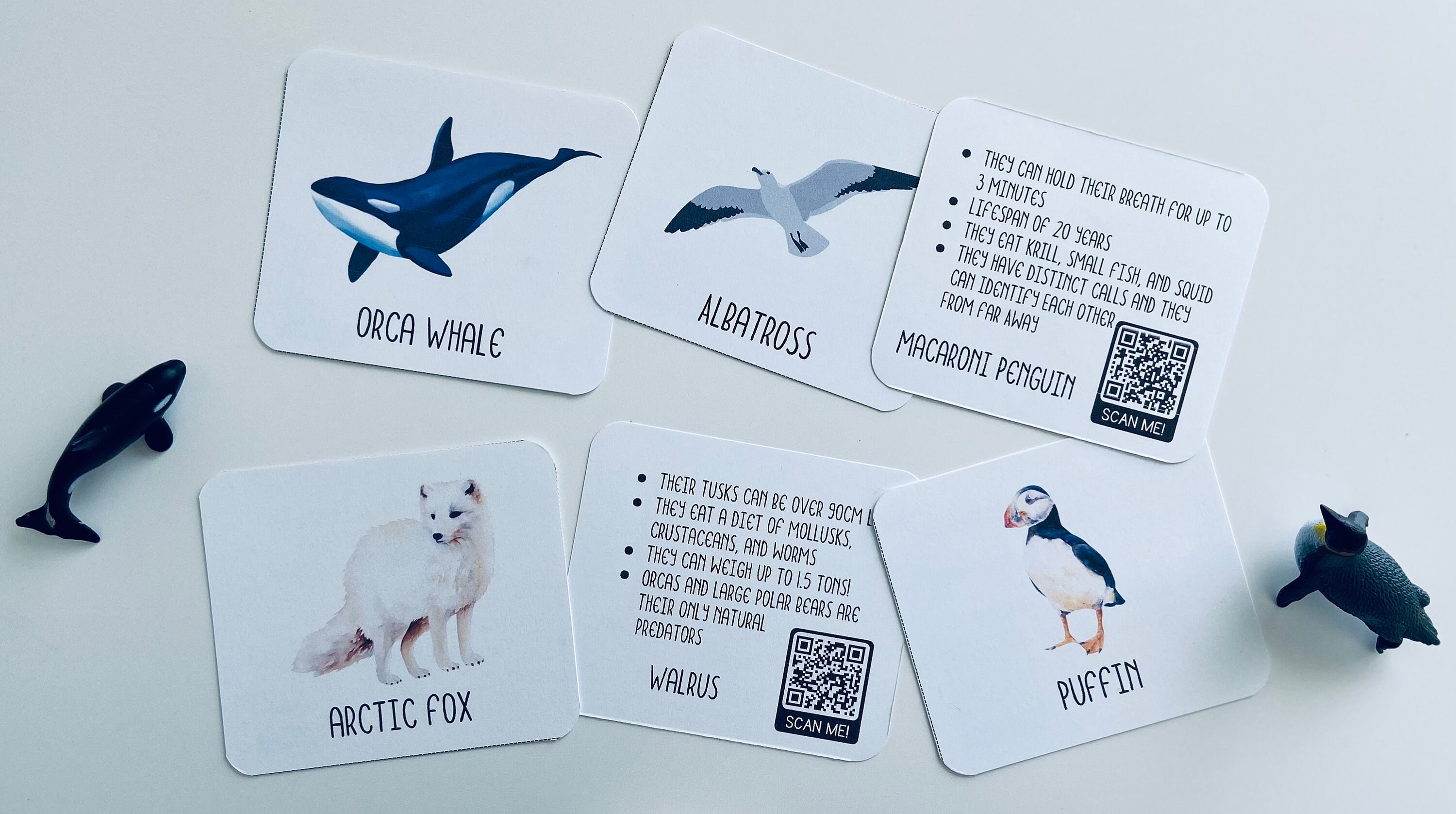Printable Polar Animals Science Unit - Etsy